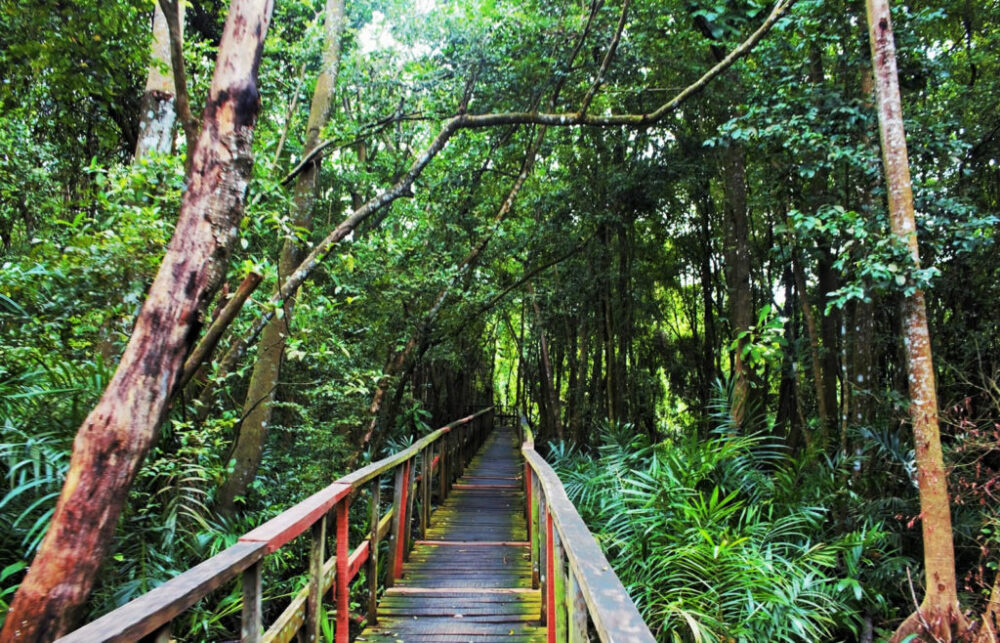 10 Best And Unique Tourist Attractions In Lagos Nigeria